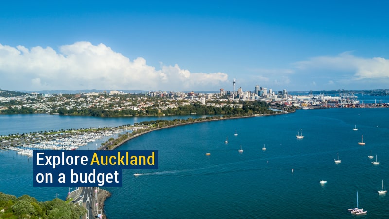 Exploring Auckland on a Budget